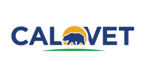 Home - Binary Stream